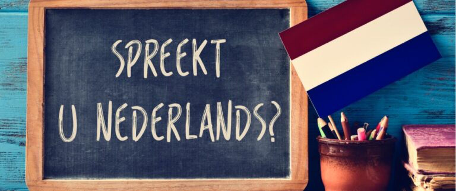 In welke landen is Nederlands de officiële taal?