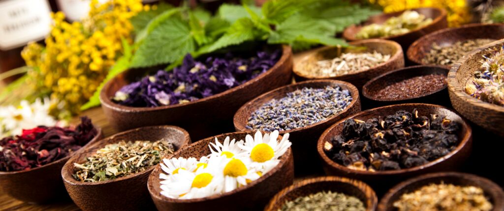 Geneeskrachtige planten plukken in de zomer