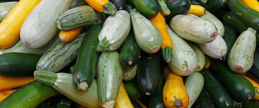 Pompoenen en courgette tijd, bijzondere najaarsgerechten