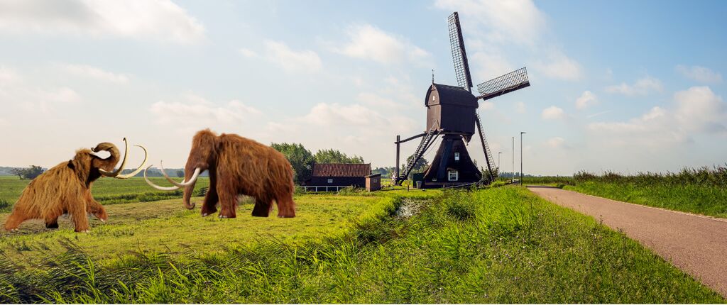 Uitgestorven diersoorten als een mammoet terug brengen