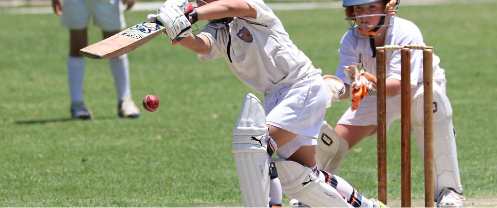 Prins Louis is dol op cricket